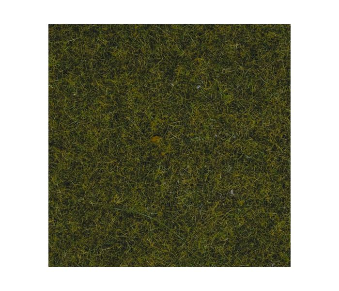 Meadow Scatter Grass 2.5mm (100g)-Noch-50220 | Gaugemaster